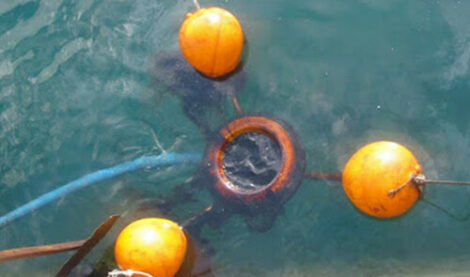 Micro Weir Skimmer - Zwanny Ltd